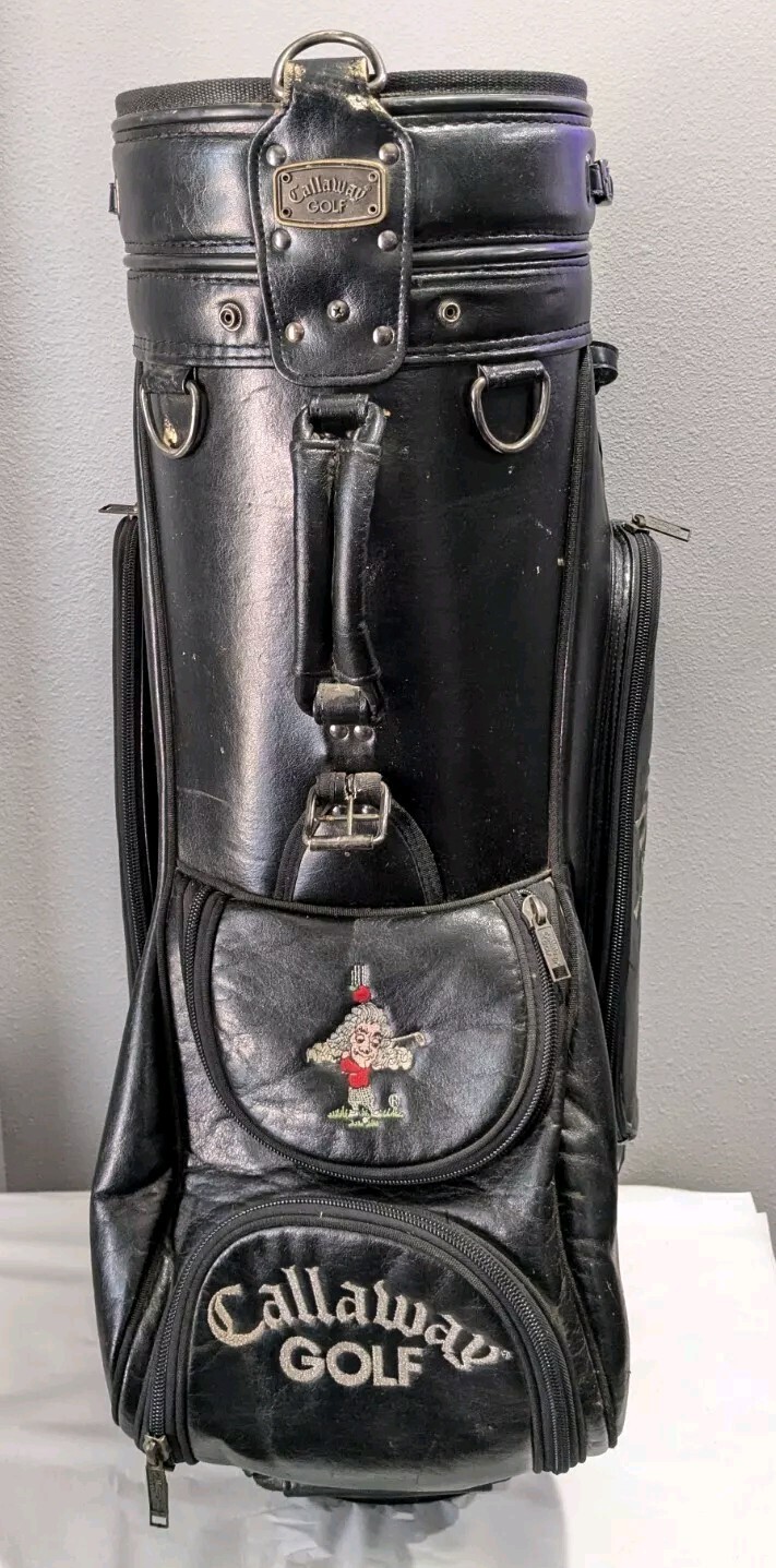 VERY RARE ISAAC NEWTON Callaway BIG BERTHA Golf Staff Bag | eBay