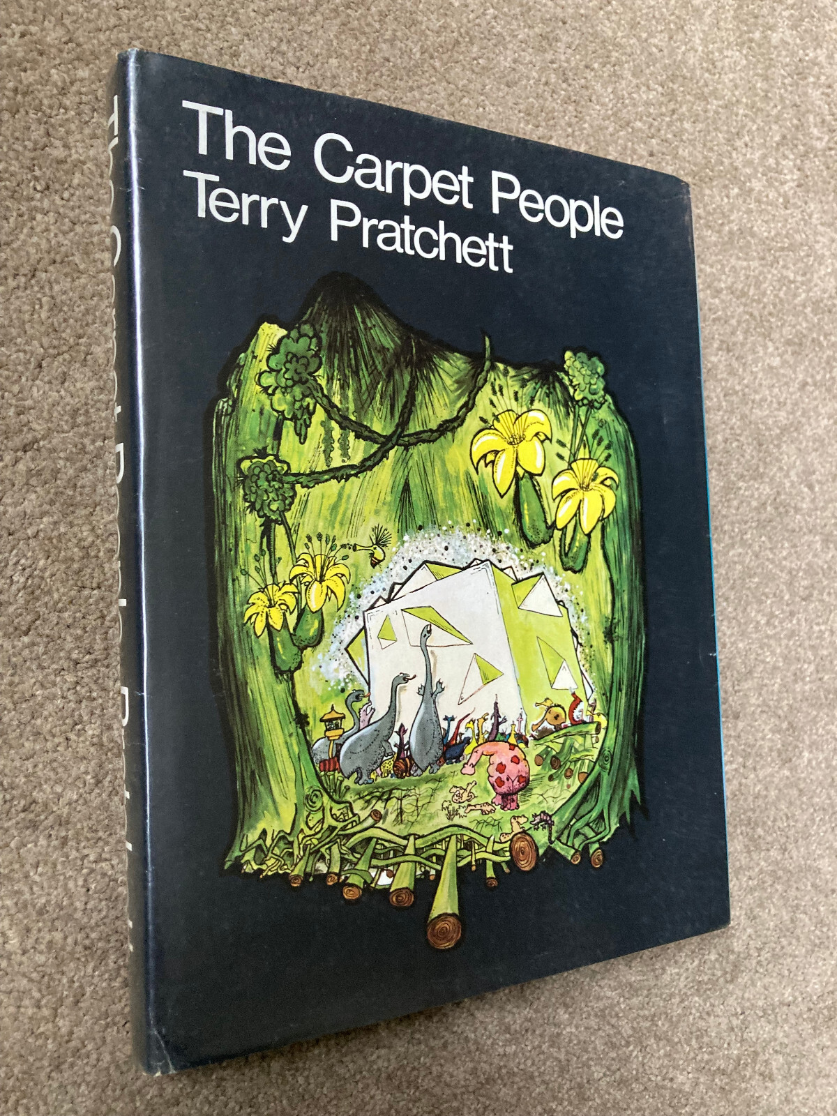 The Carpet People by Terry Pratchett (Hardcover, 1971) for sale online ...