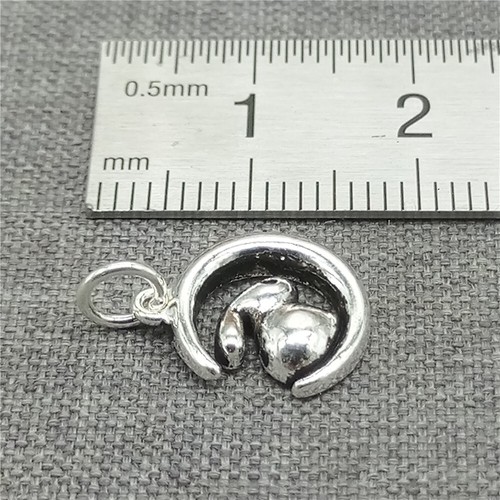 5pcs of 925 Sterling Silver Crescent Moon Rabbit Bunny Charm for Easter ...