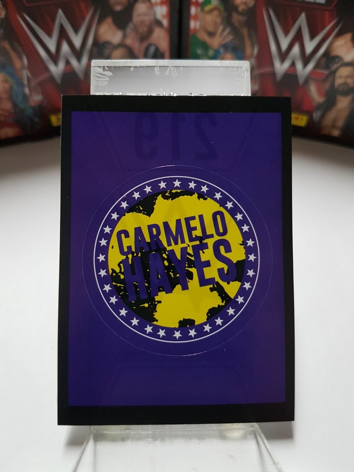 2022 Panini WWE Stickers (208-414) COMPLETE YOUR SET-YOU PICK FROM LIST ...