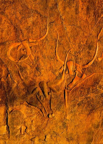 "The Crying Cows" 9000 yr old Saharan Rock Art- "Les Vaches qui ...