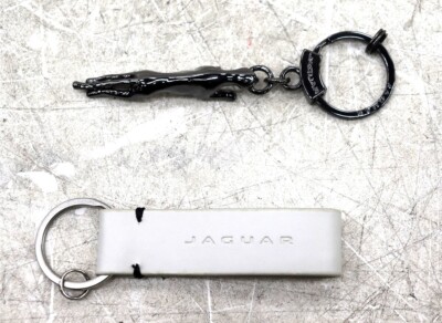 NEW Jaguar Key Ring Key Chain Handover Pack 50JJGF006NAA | eBay