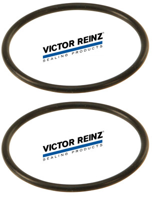 2xAudi A3 A5 VW Jetta O-Ring for Mechanical Fuel Pump on Cylinder Head ...