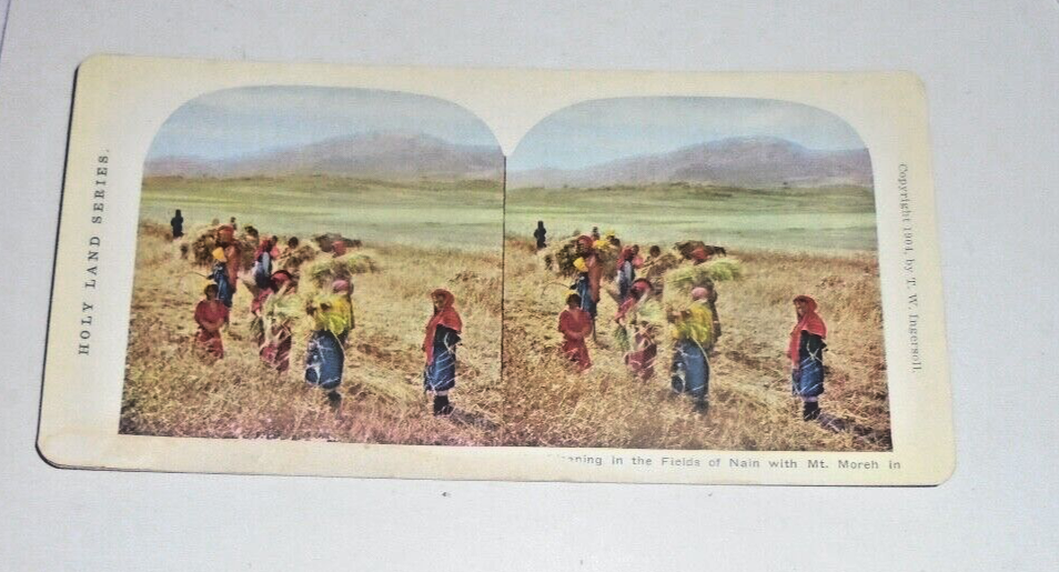 Antique Holy Land Color Stereoview Card Fields of Main Mt. Moreh St ...