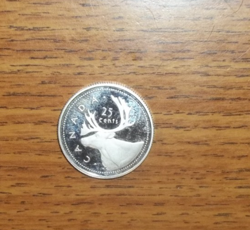 2002 Canada Silver PROOF Quarter Dollar Coin of Queen Elizabeth ...