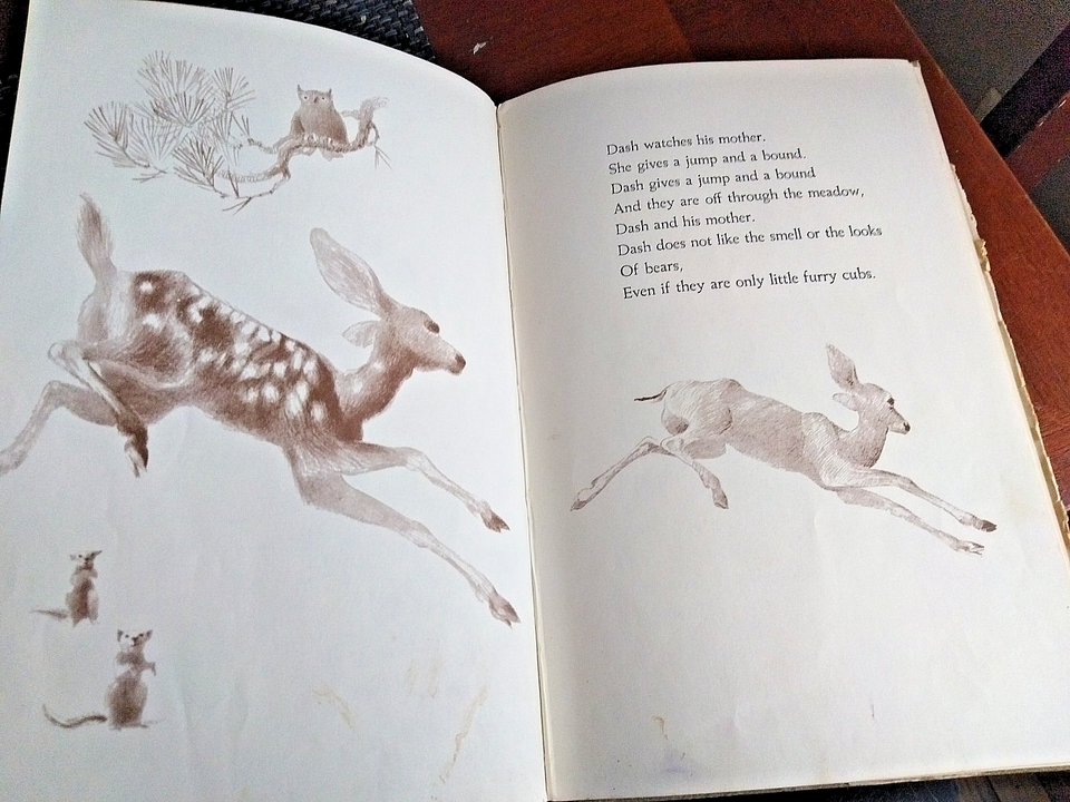 Dash & Dart By Mary & Conrad Buff Hardcover 1943 2nd Print-Deer Story ...