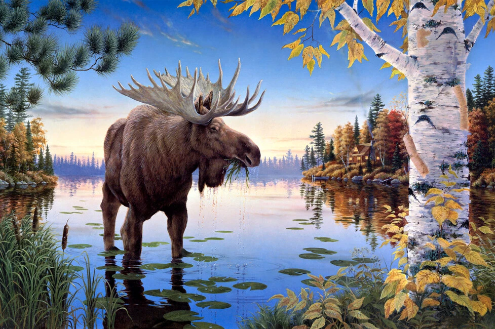 Moose Oil Painting