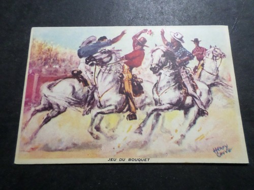 CP, Postcard Novel Camargue Horses Games Bouquet, French Version ...