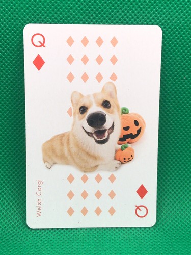 Welsh Corgi Diamond Q THE DOG Playing card Artlist Collection Japan | eBay