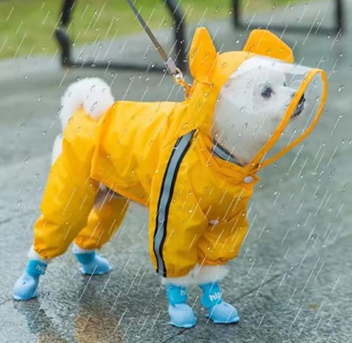 Zone Tech Pet Dog Raincoat Protection Hood Medium with Reflective ...