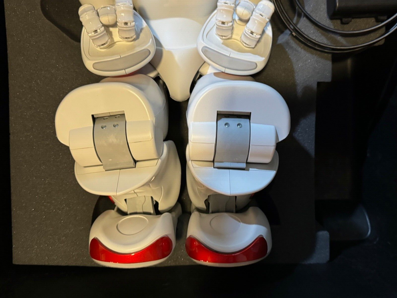 nao H25 robot RED | eBay