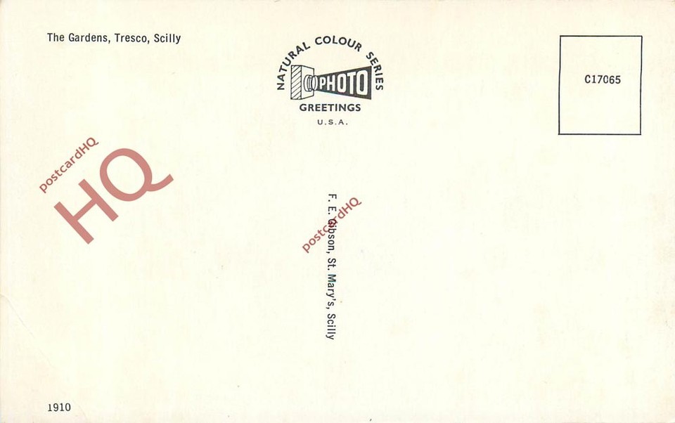 Picture Postcard- Scilly, the Gardens, Tresco | eBay