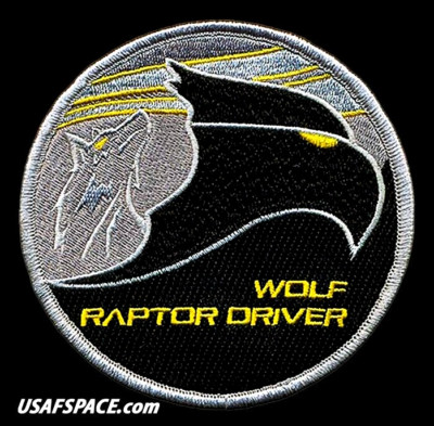 USAF 3D OPERATIONS SUPPORT SQ -F-22- WOLF RAPTOR DRIVER -ORIGINAL VEL ...