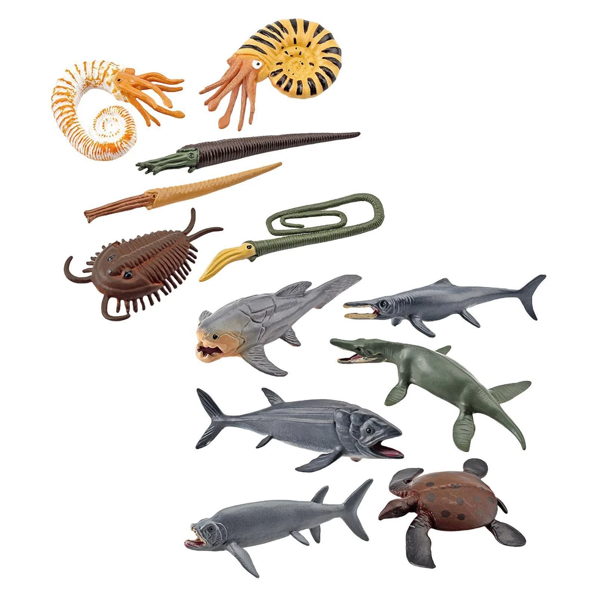 Sea Animal Size Chart