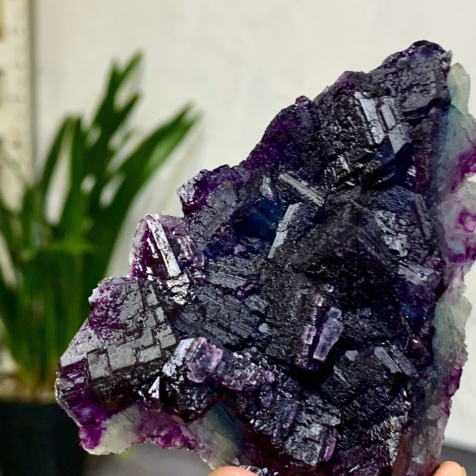189G Rare Purple Blue Cubic Fluorite Mineral Crystal Sample/Zhejiang ...