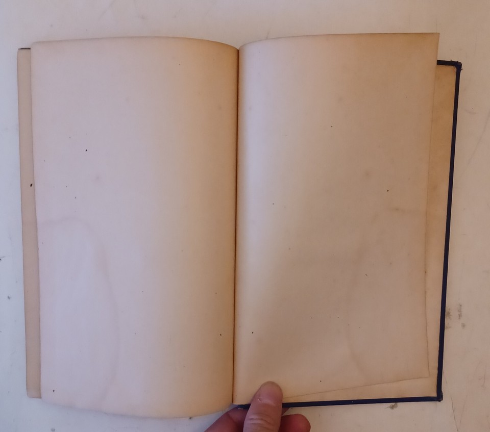 Semi-Tropical California Major Ben Truman HC 1874 Bancroft Climate ...