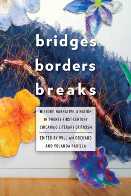 Bridges, Borders, and Breaks: History, Narrative, and Nation in Twenty ...