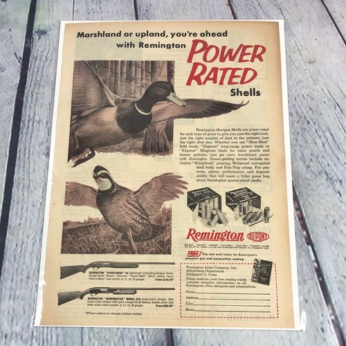 1958 Remington Shotgun Shells Duck Quail Vtg Print Ad/Poster Art ...