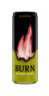NEW BURN ENERGY DRINK - EXOTIC GUAVA - 250 ML CAN - FRUIT - CAFFEINE ...