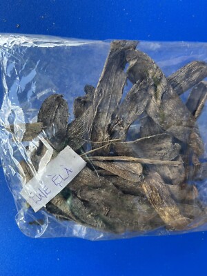 DRY PLANTA ELA SECA PLANTA YERBA HIERBA religion yoruba EWE santeria ...