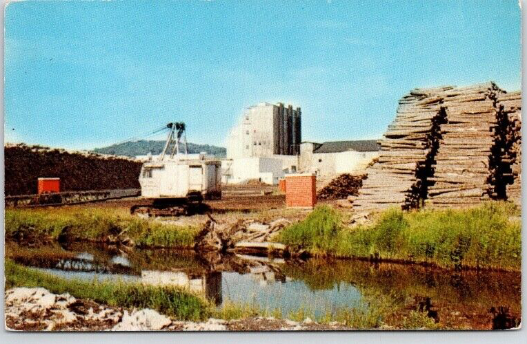 MUNISING, MICHIGAN MUNISING PAPER MILL POSTCARD | eBay