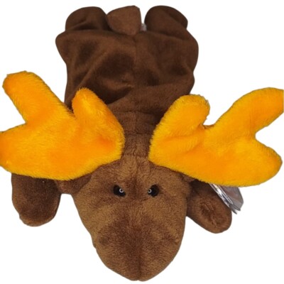 Ty Beanie Baby Chocolate the Moose 1993 With Rare Tag Errors PVC ...