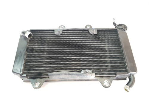 Radiator KTM RC390 RC 390 ABS 2015 Duke | eBay