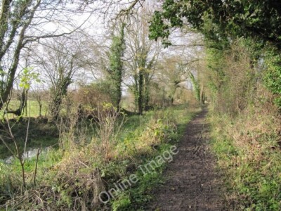 Photo 6x4 Towpath to the track East Challow Looking back along the ...