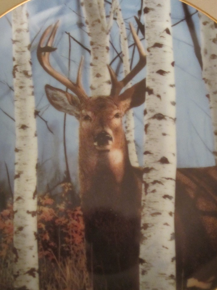 AUTUMN SENTINEL collector plate BOB TRAVERS Wildlife WHITE TAILED DEER ...