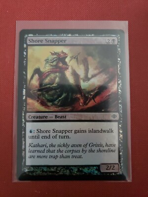 MTG Shore Snapper *FOIL* - Shards of Alara - Magic the Gathering - NM ...
