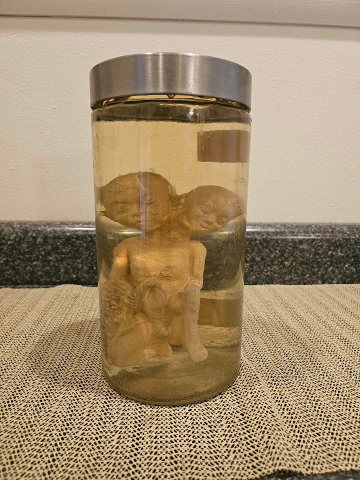 Two Headed Baby in Jar - Genuine - Vintage Bros Grimm Gaff Freak ...