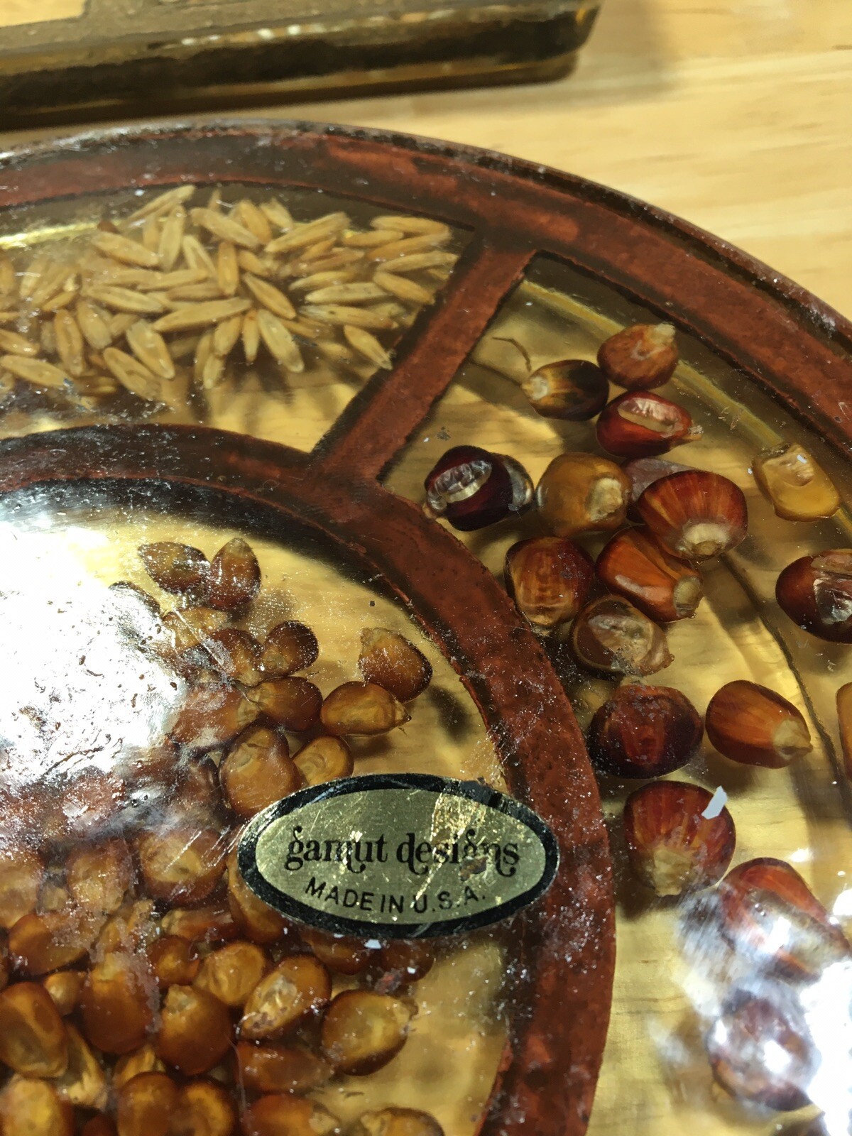 Vintage MCM Gamut Designs Dried Seeds Acrylic Trivets Or Wall Plaque ...
