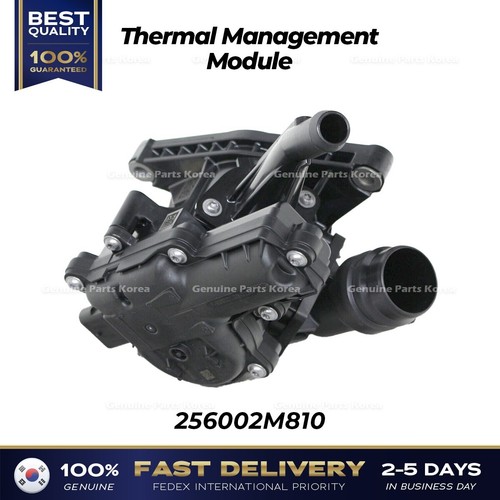 ⭐Genuine⭐ Thermal Management Module 256002M810 for Hyundai Elantra Kia ...