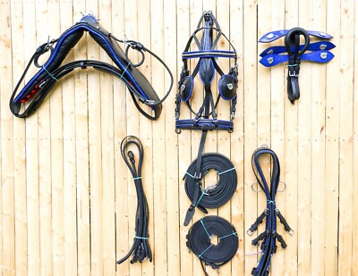 Full Size Black Horse Patent Leather Driving Harness Set Blue Trim | eBay