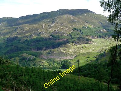 Photo 6x4 Forest clearance on the slopes of Mor Bheinn St Fillans c2012 ...