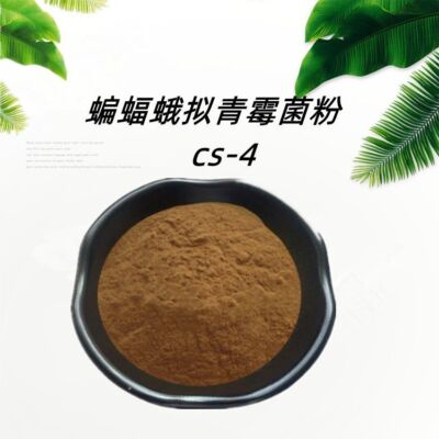 Cordyceps Fermented Bacteria Powder cs-4 Liquid cs-4 Cordyceps Bacteria ...