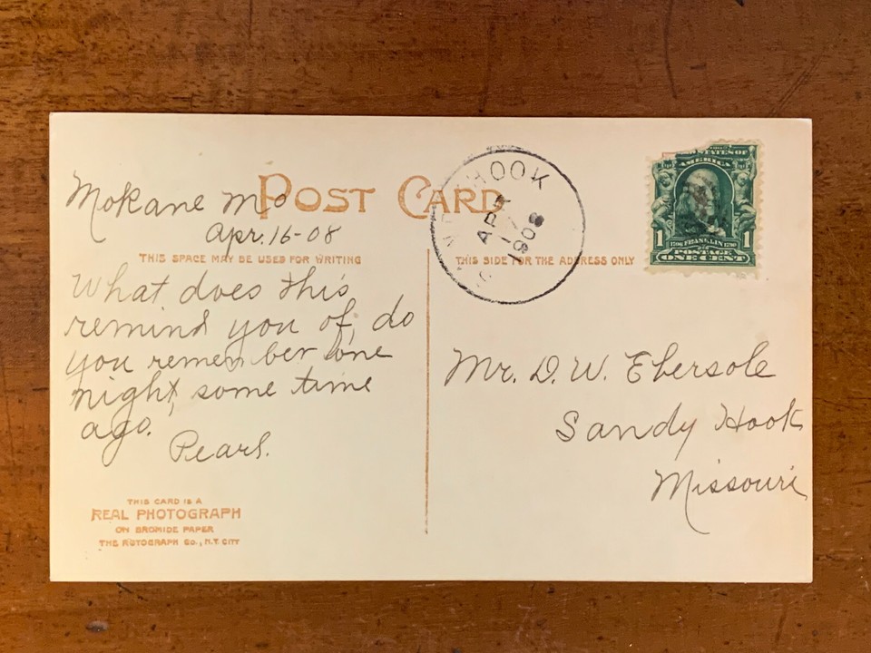 RPPC Rotograph, Three Dogs In A Basket, PM 1908 Photo Postcard | eBay