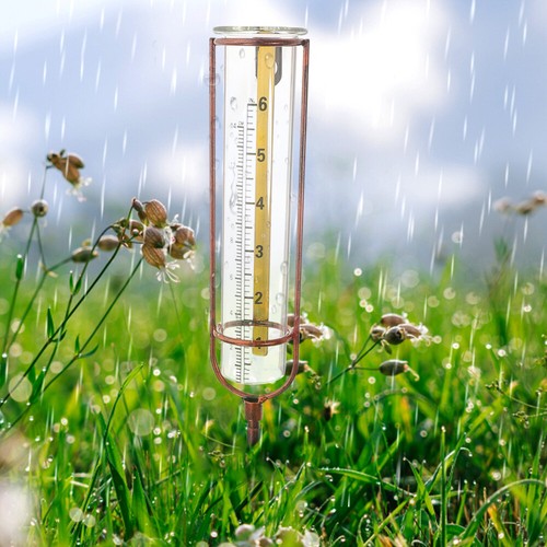 Rain Gauge Measure Tube Measuring Tool Outdoor with Stake Gauges ...