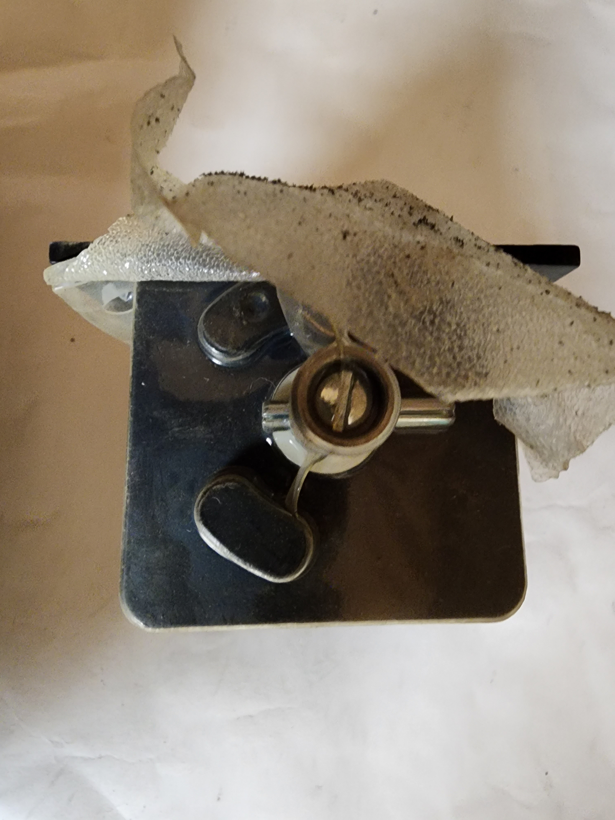 8T-8031 Sensor Caterpillar CAT OEM 8T8031 | eBay