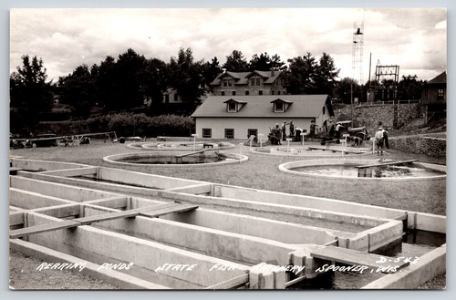 Spooner Wisconsin~State Fish Hatchery Rearing Ponds~Workers~1940s RPPC ...