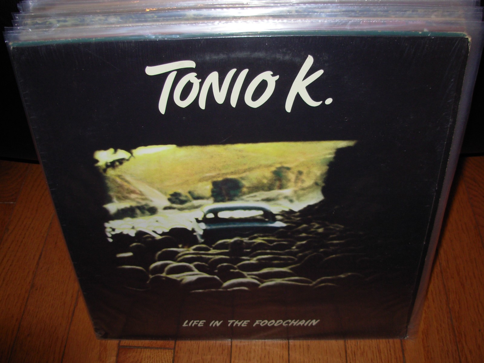 TONIO K life in the foodchain ( rock ) | eBay