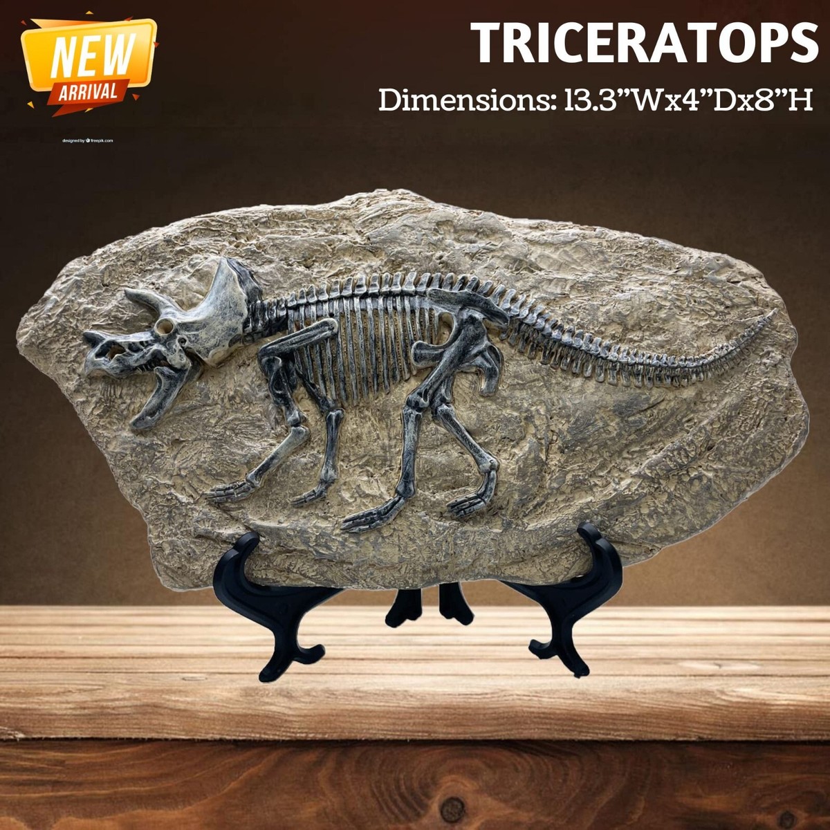 Triceratops Skelett A 76 Million Year Old Dinosaur Skeleton Will Be