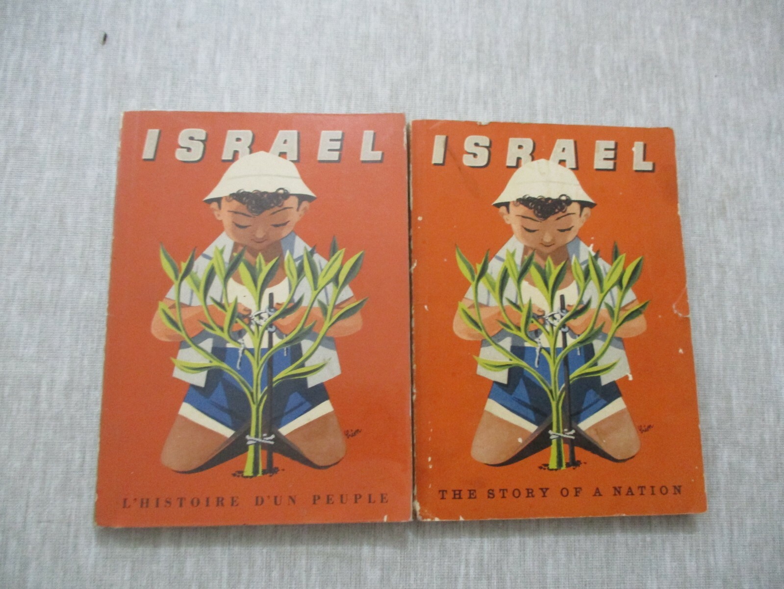 Israel,the story of a nation, 2 x paperback books,English,French,Israel ...