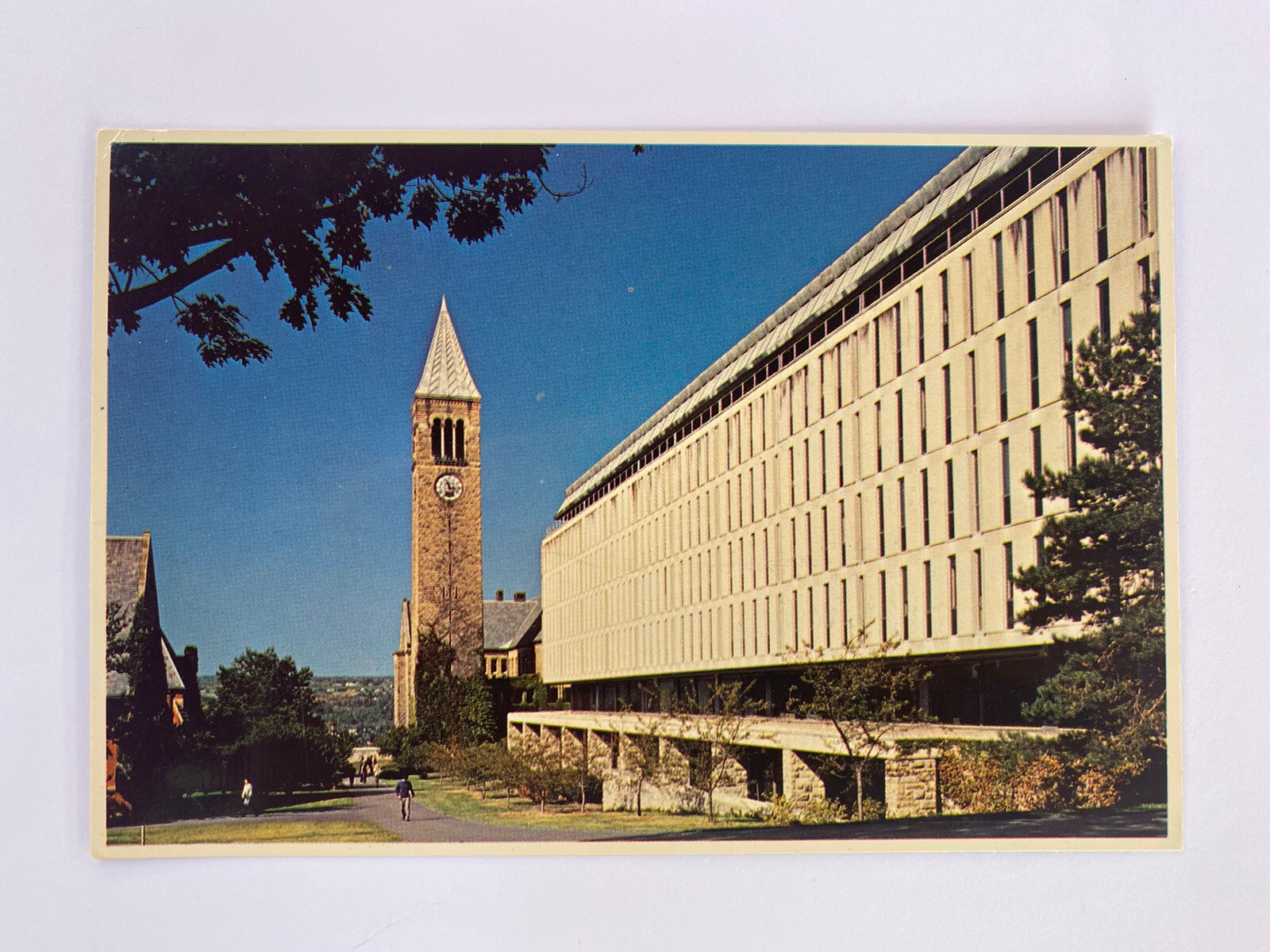 Olin Library Cornell
