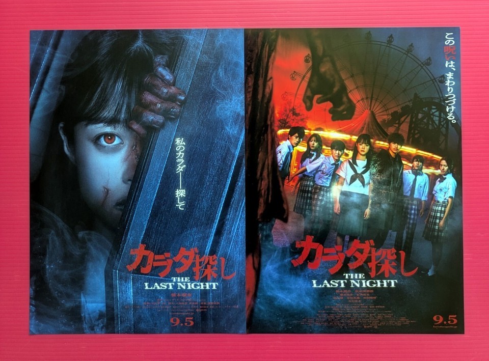 movie pamphlet + flyer Body Search THE LAST NIGHT Kanna Hashimoto ...