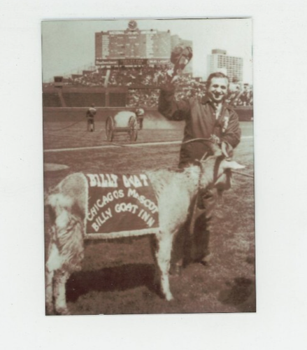 Billy Goat Curse ⚾ Chicago Cubs World Series Champions METAL Baseball ...