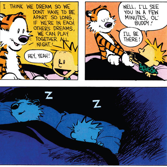 Calvin and Hobbes Why Do We Dream When We Sleep 27x35 Poster Print 0803 ...