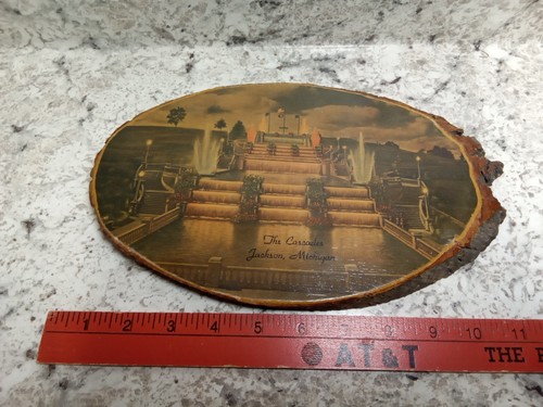 The Cassades Jackson Michigan Wood Decor Block Vintage | eBay