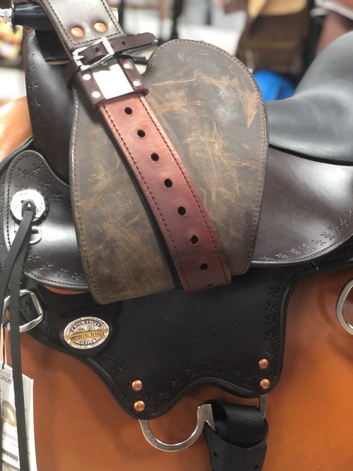 Circle Y Alabama Trail Gaiter Flex2 Saddle 16” Wide Spider Border #1581 ...