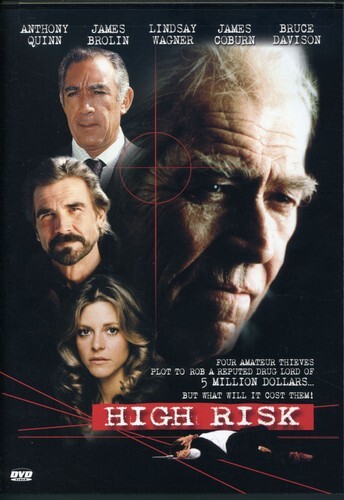 High Risk (DVD, 1981) for sale online | eBay